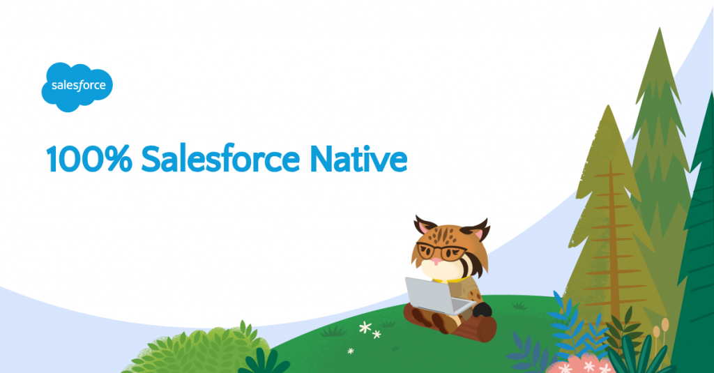 CloudAmp vs Other Solutions: Why Salesforce Native Lead Attribution ...